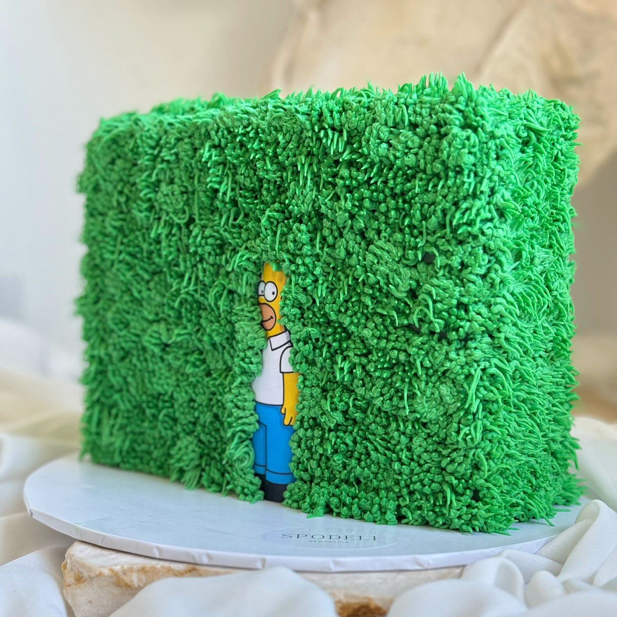 Homer Simpson Hedge Meme Cake – Spodeli Newcastle
